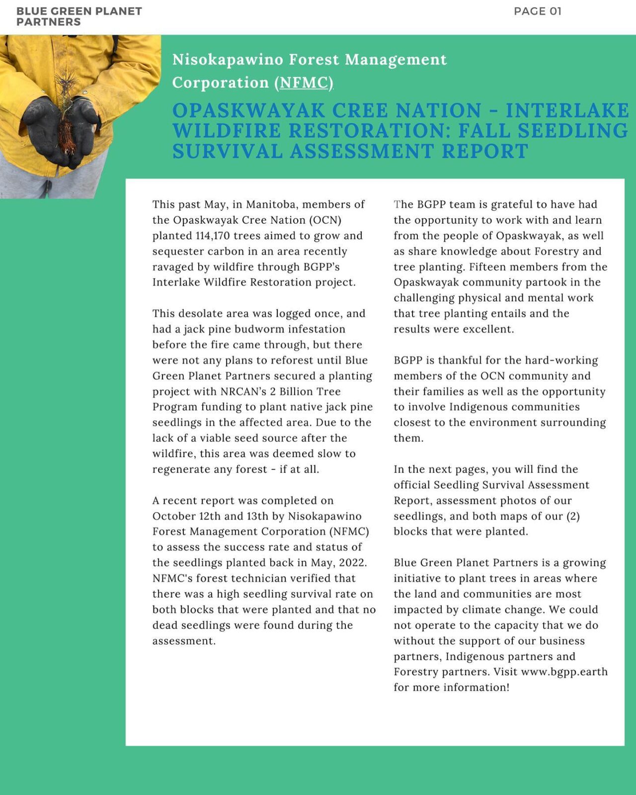 Fall Seedling Report | Blue Green Planet Project