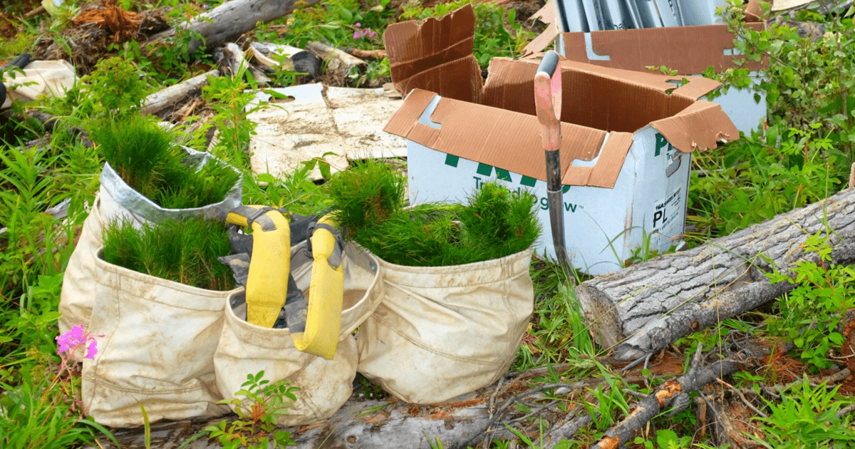 2022 Planned Projects - Blue Green Planet Project