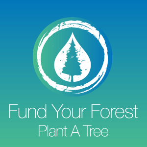 Plant A Tree - Blue Green Planet Project